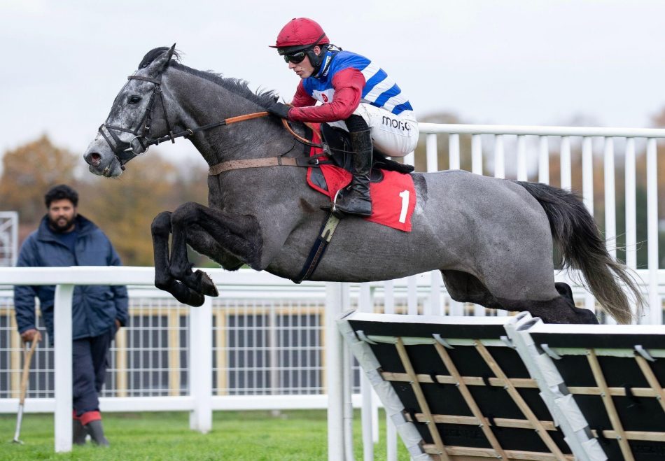 Second Grade 2 Win For Unbeaten Son Of Walk In The Park - Coolmore