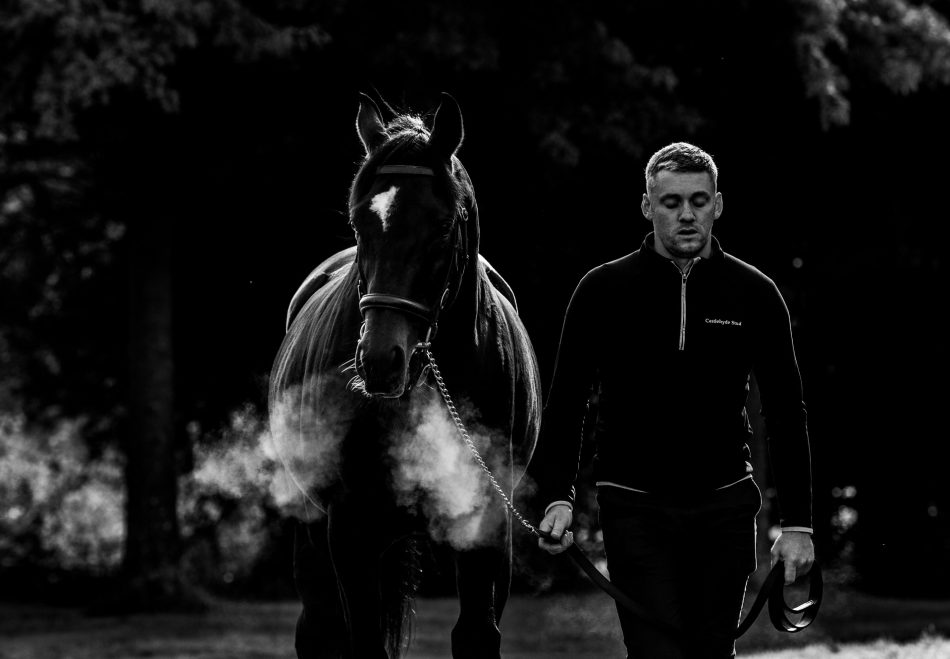 Second Grade 2 Win For Unbeaten Son Of Walk In The Park - Coolmore