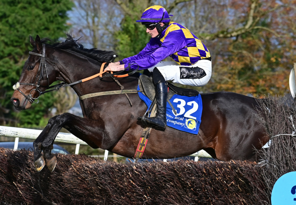 Maxios Gelding Wins on Point-to-Point Debut - Coolmore