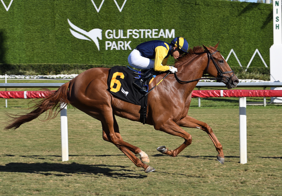 Justify Strikes Again At OBS March - Coolmore