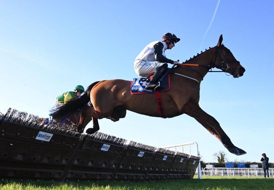 Son Of Getaway Not For Catching In Bumper - Coolmore