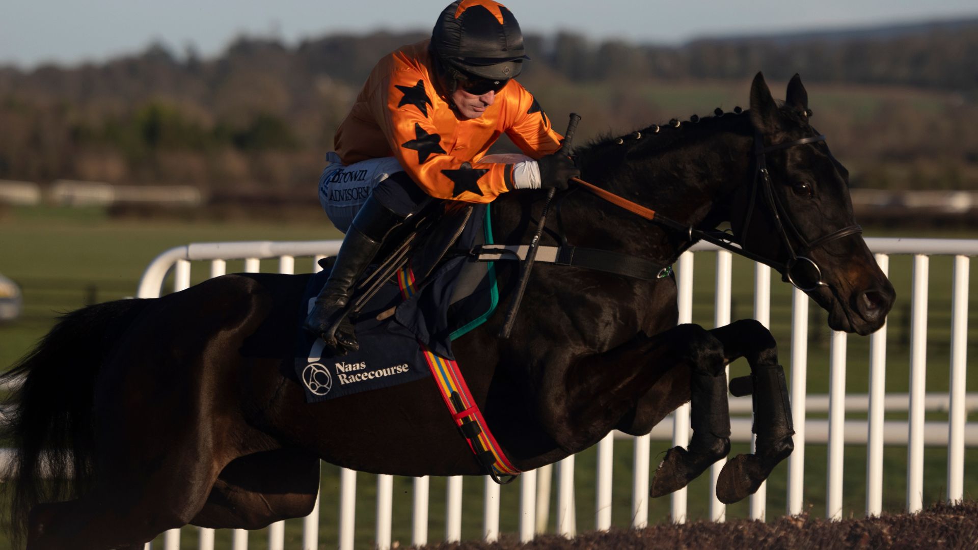 Impressive First Win Over Fences For Daughter Of Wings Of Eagles - Coolmore