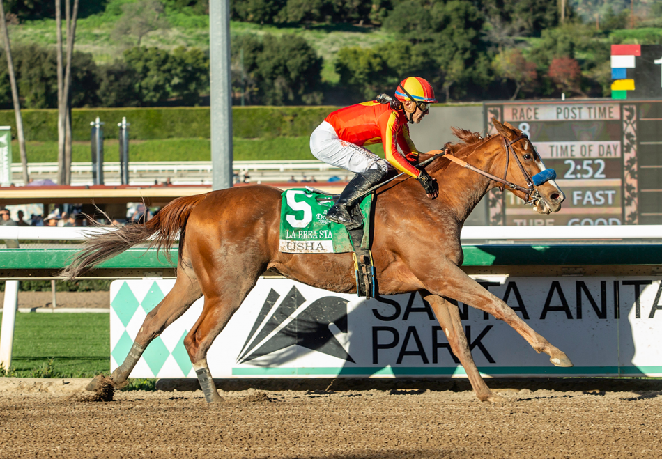 Falconet Secures Second Stakes Win in Top Flight - Coolmore