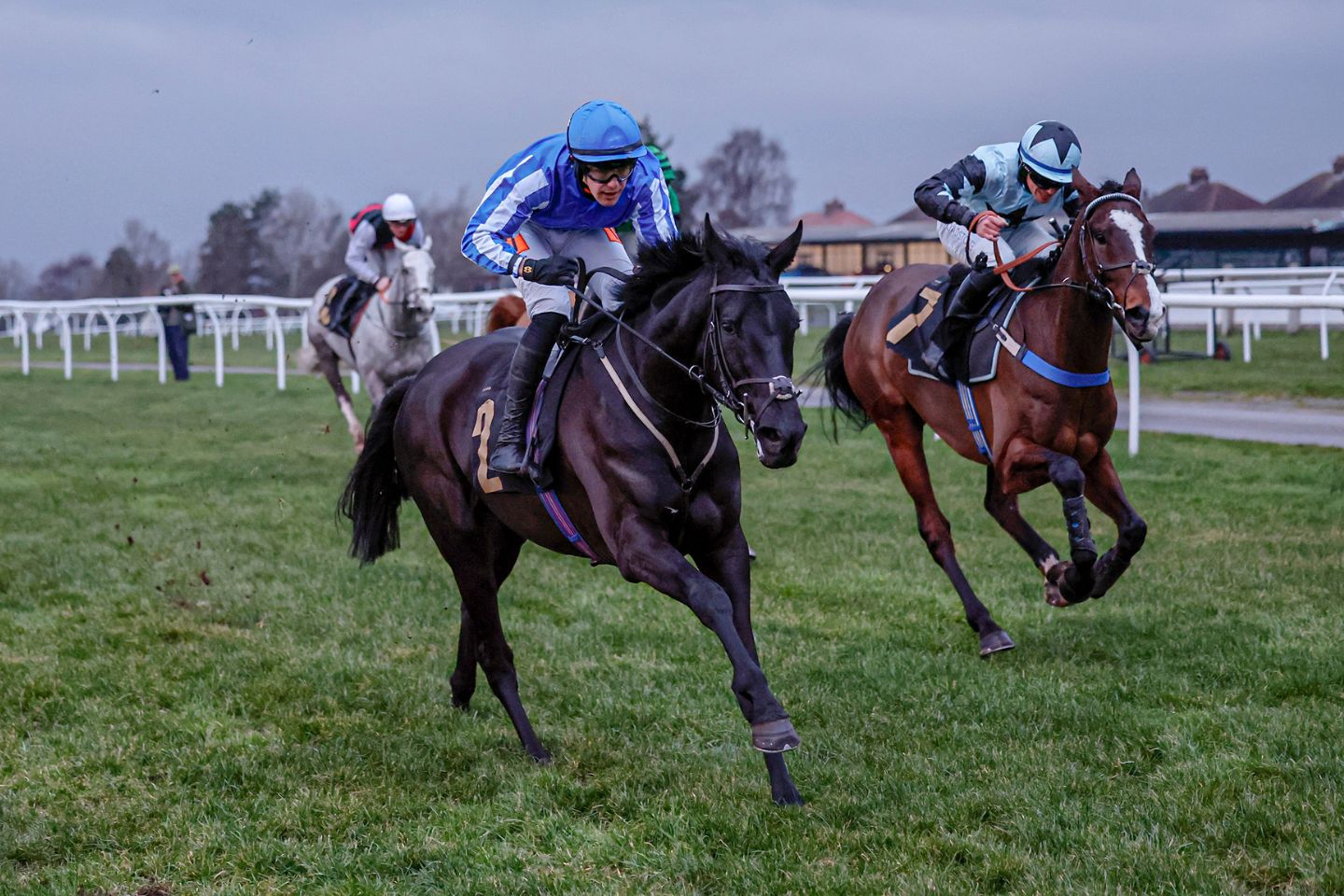 Vadamos Gelding Hits The Mark On Debut - Coolmore