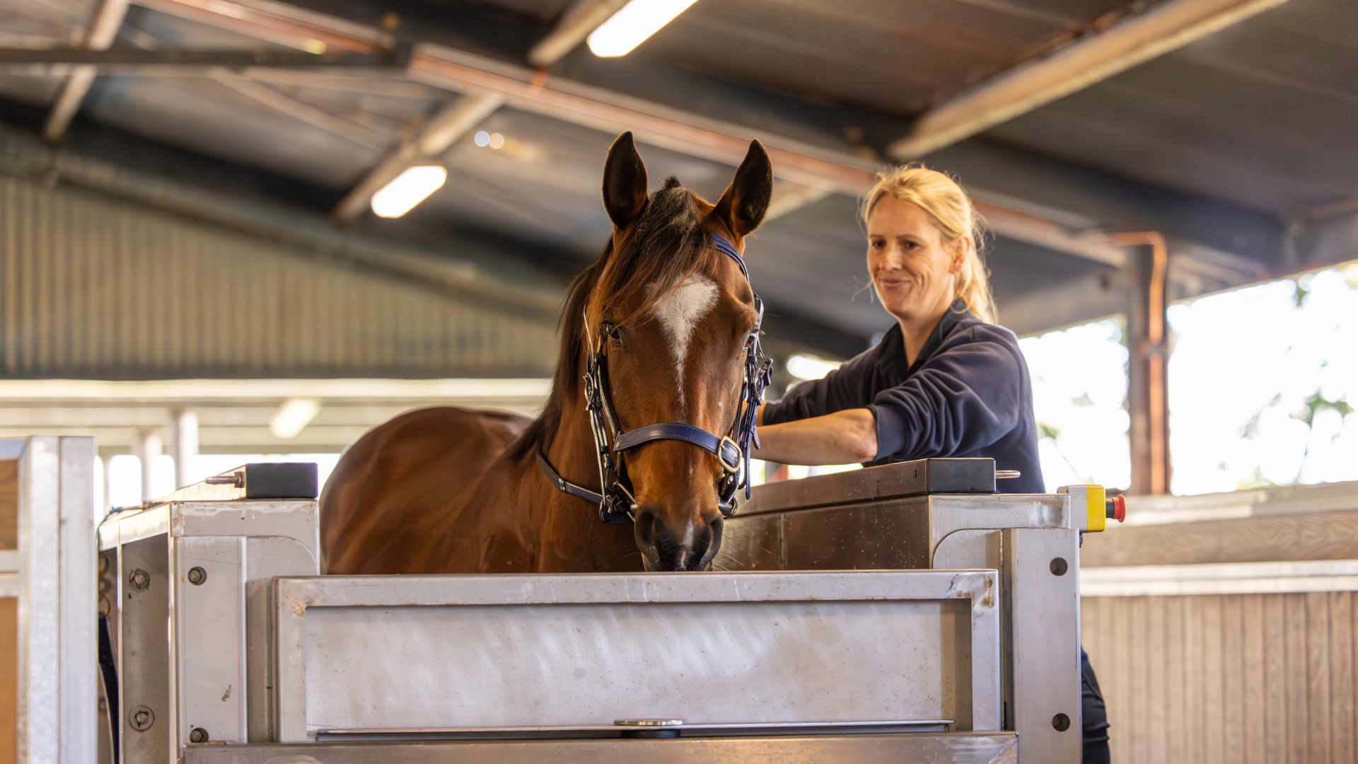 Mt White Farm - Coolmore