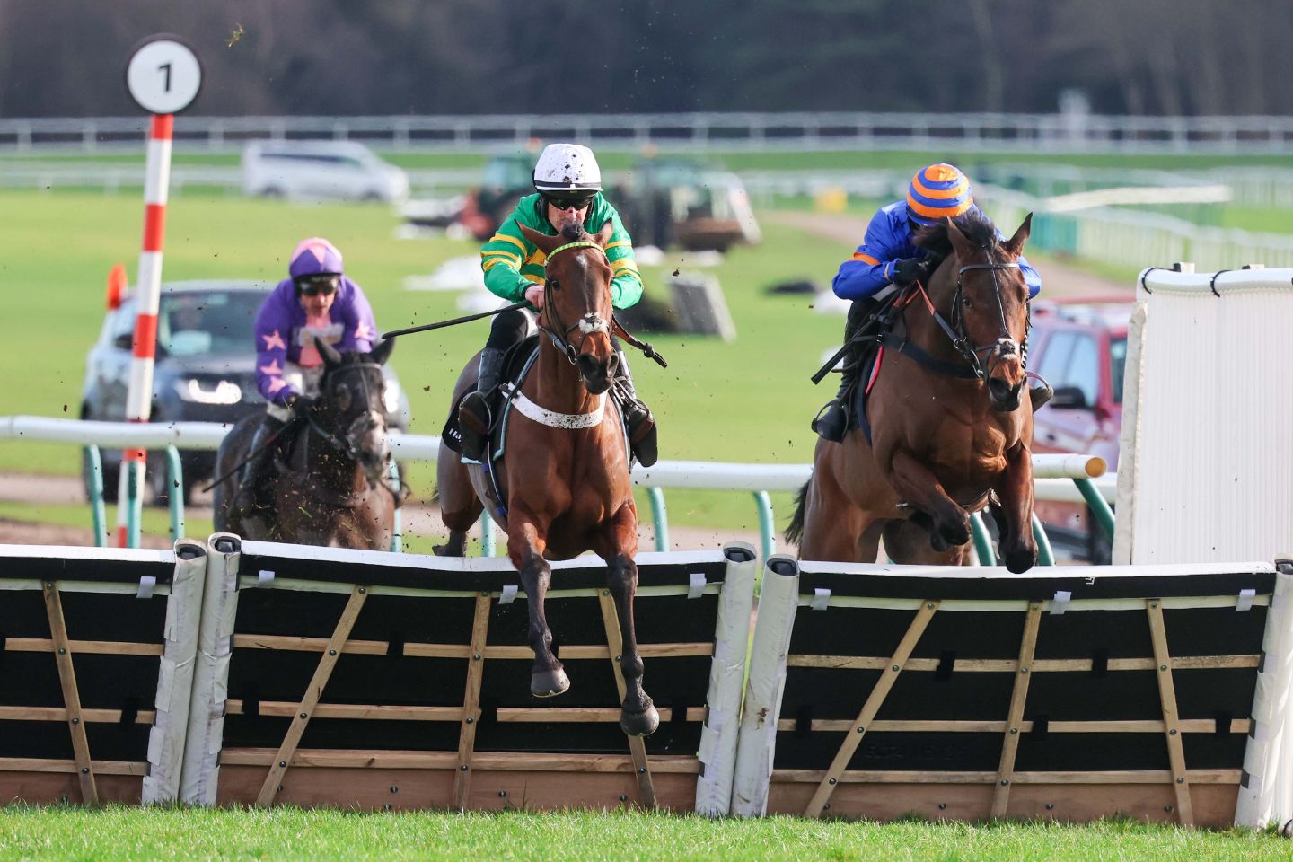 Smart Maxios Filly Catches The Eye At Haydock - Coolmore