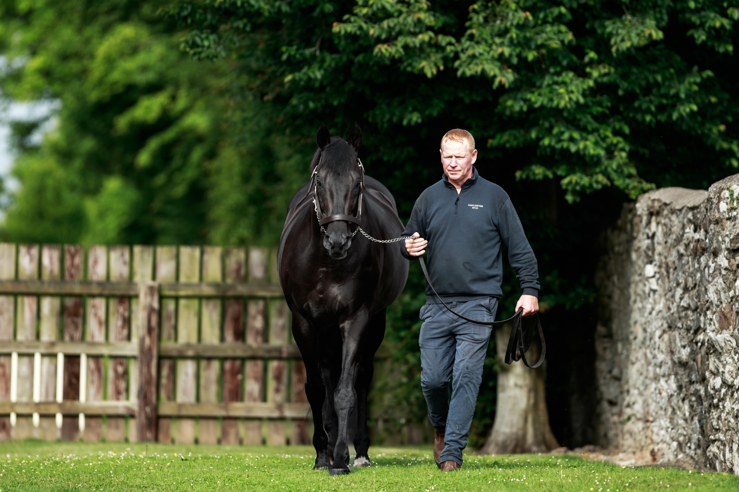 First Rules Win For Son Of Maxios - Coolmore