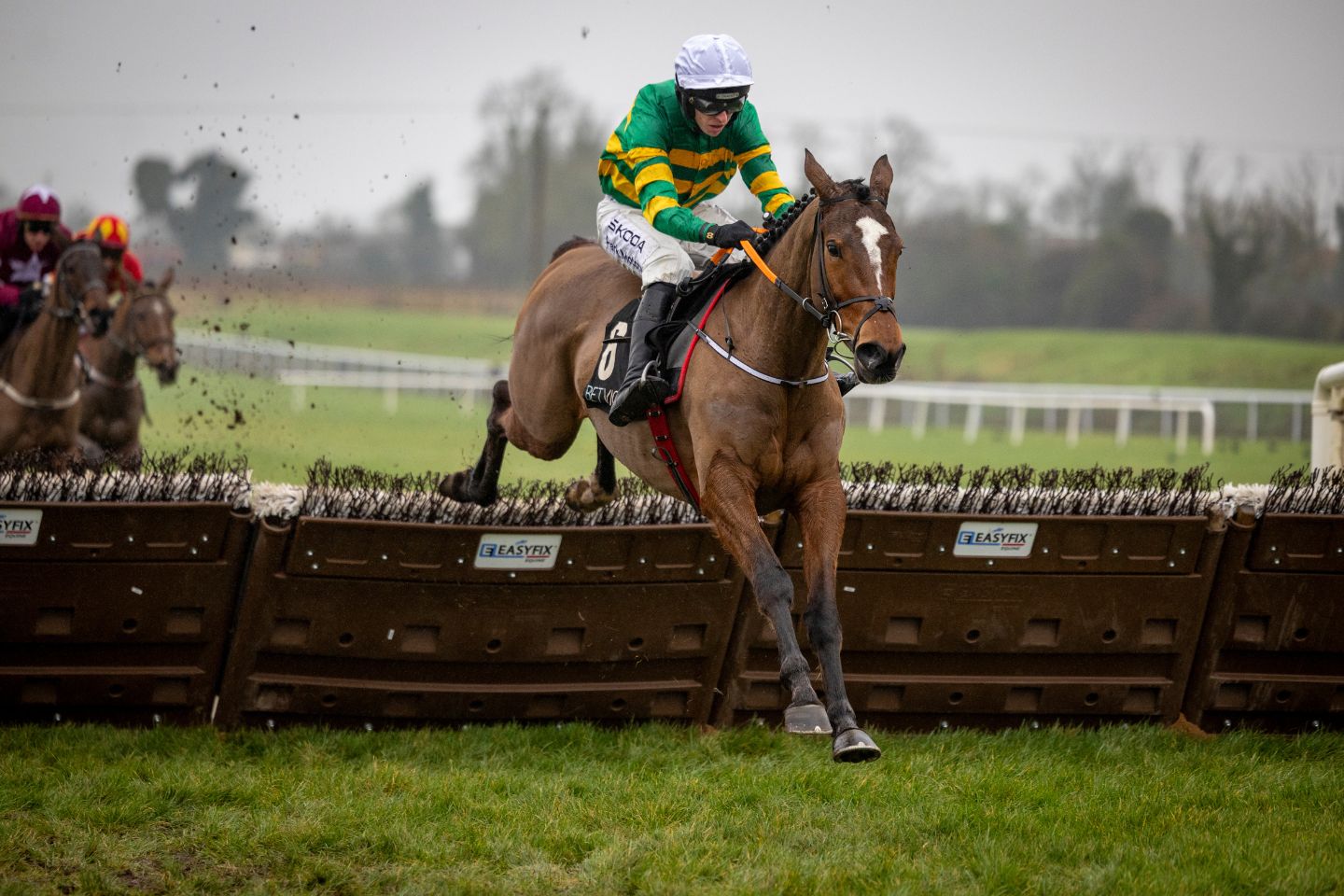 Graded Success For Exciting Walk In The Park Mare - Coolmore
