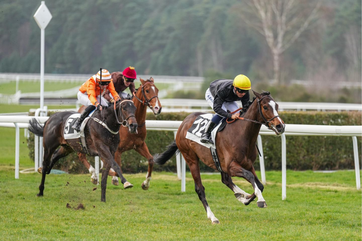 Son Of Camelot Produces Smart Winning Debut - Coolmore